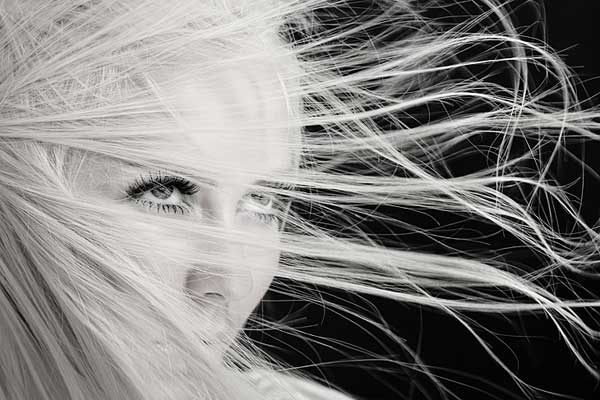 Natzel: Photo III Journal