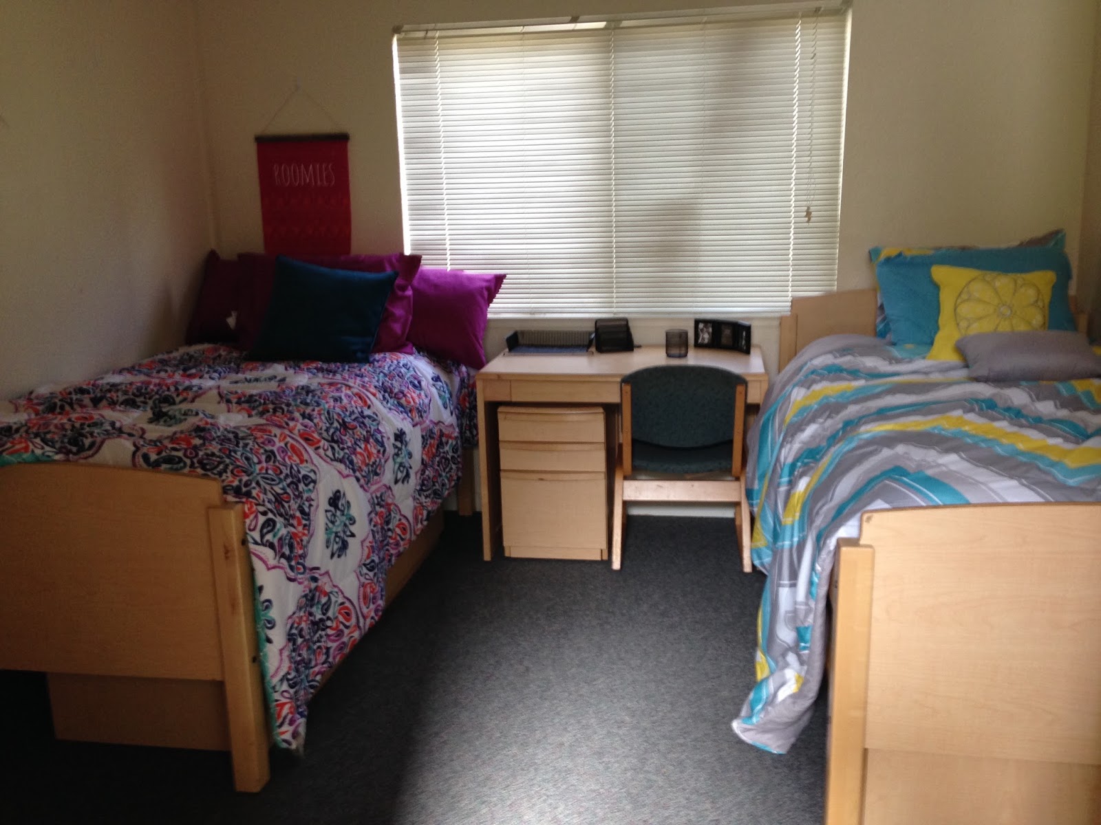 PCA College Search: Sonoma State University Highlights