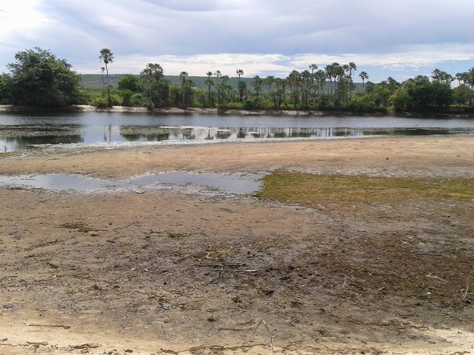 Situação do leito do Rio Jaguaribe - Blog do Tom