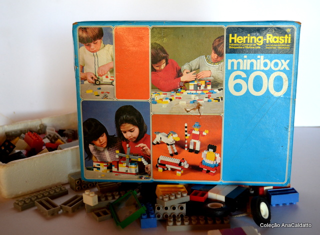 Ana Caldatto : Blocos Hering-Rasti