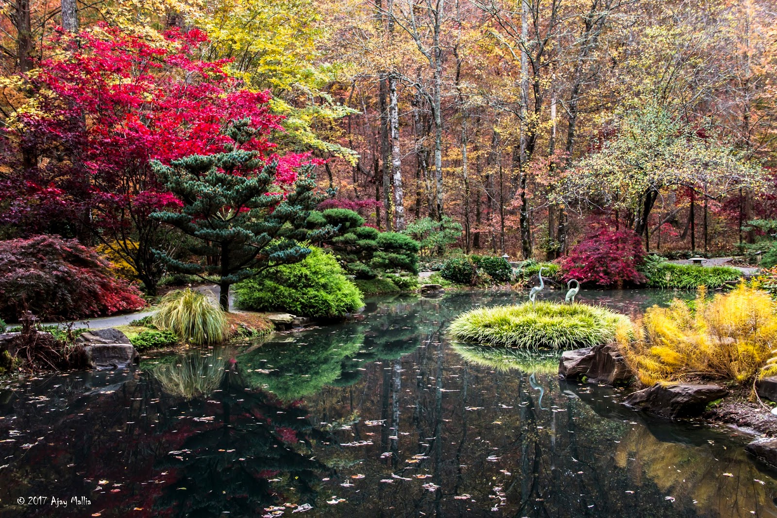 Ajay Mallia Photography: Gibbs Garden-Fall Color