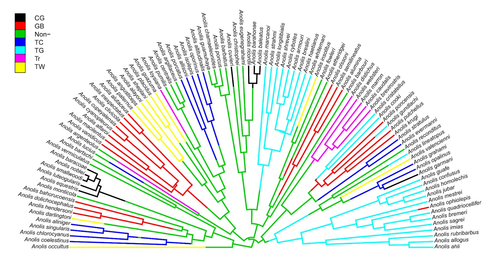 Phylogenetic Tools for Comparative Biology: Plotting 'partial' circular ...