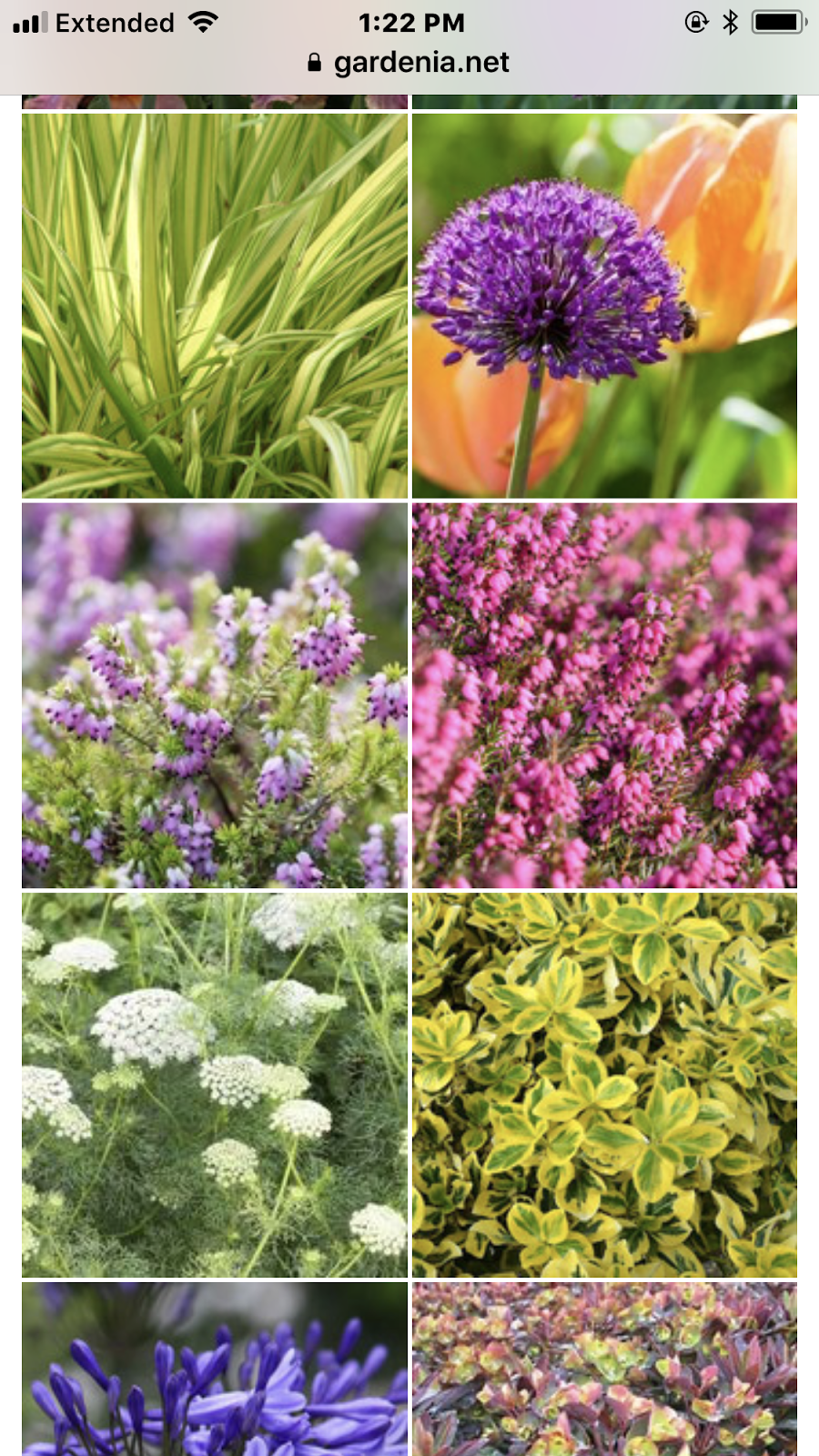 Romancing the Home: Garden Design for Year Round Color