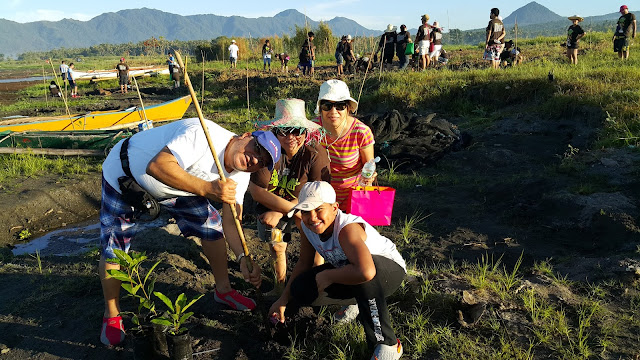 PIDJANGA of Mainit, Surigao Norte: Global Surigaonons conduct tree ...