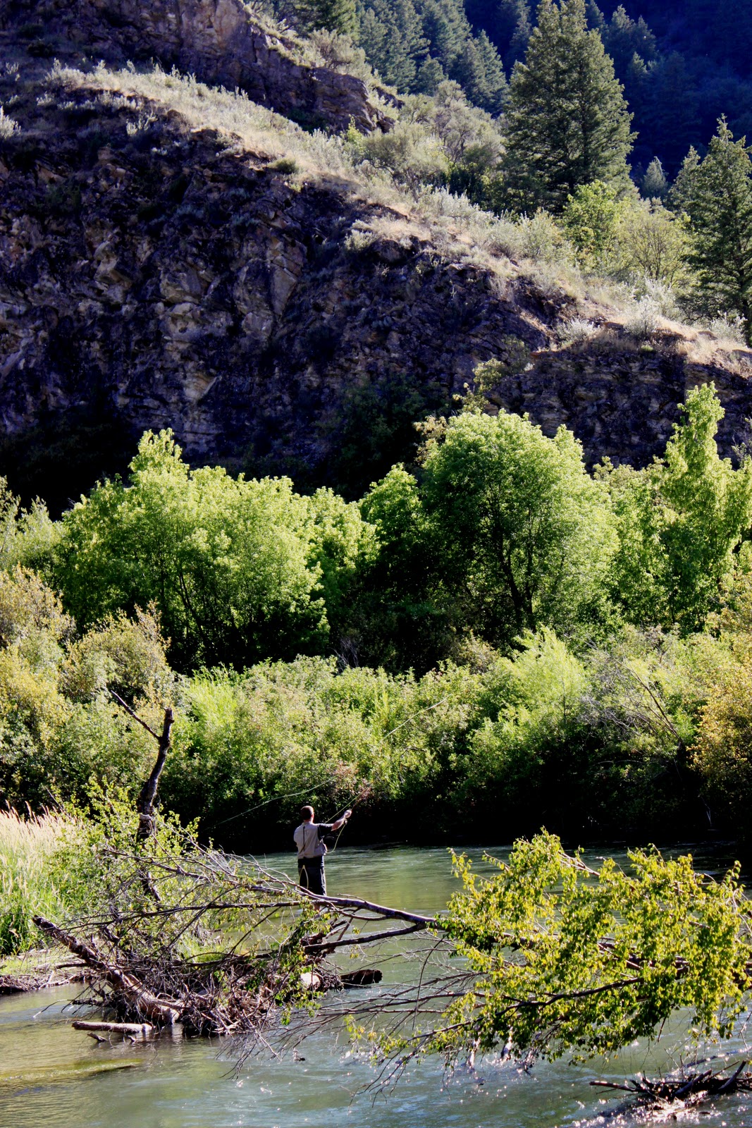 River Tales: Blacksmith Fork Utah