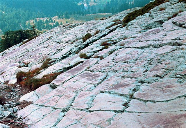 Tutto-Sapere: Un santuario protostorico: il Monte Bego