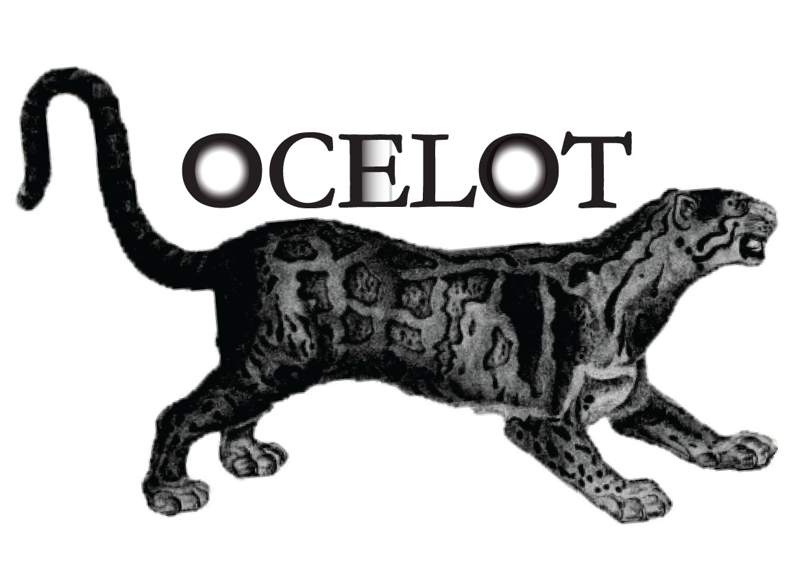 Lani Baldwin Ringwood Level 2 Media Blog: Ocelot Logo Explaination