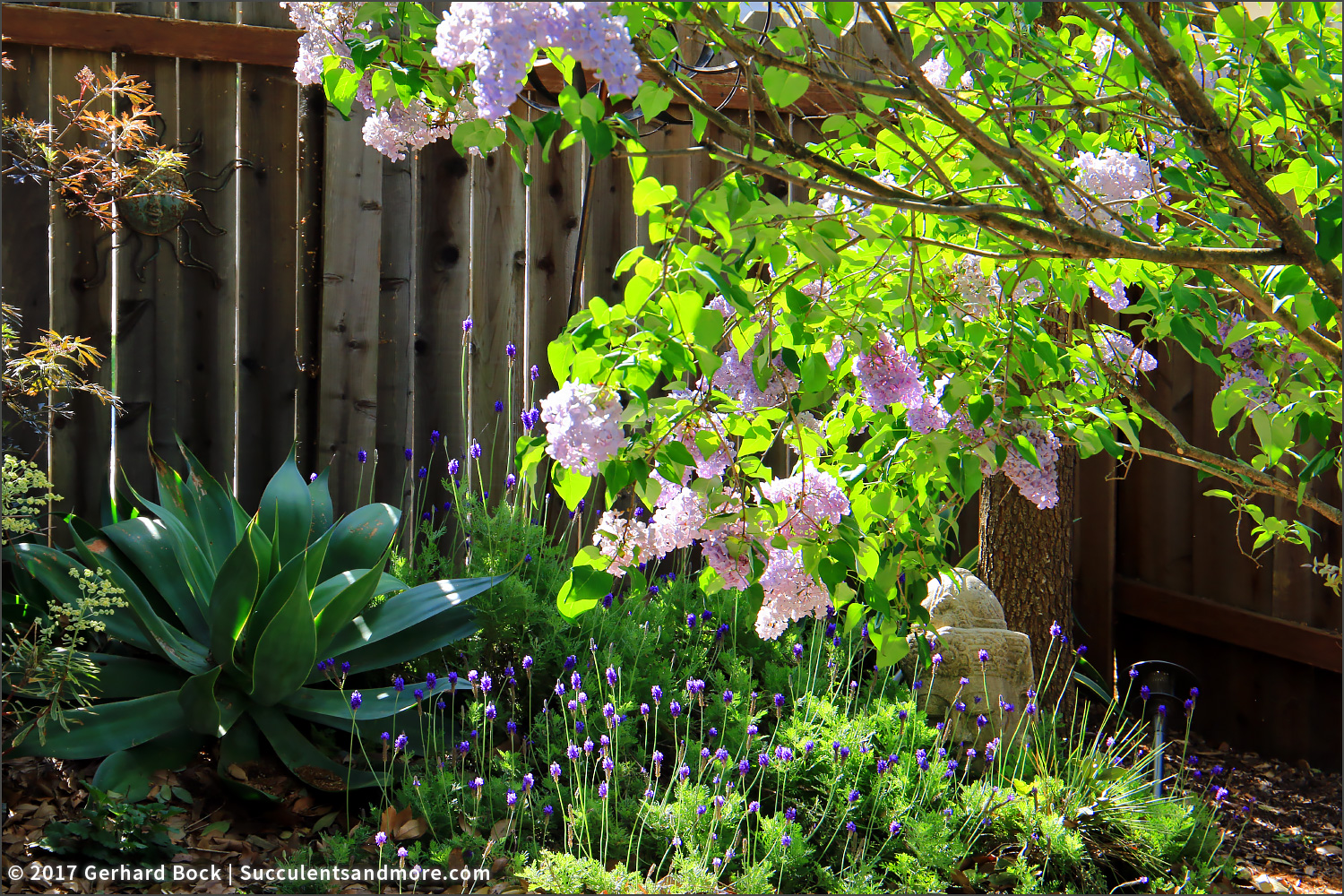 TGIF: a few spring pictures to celebrate the end of a tedious work week