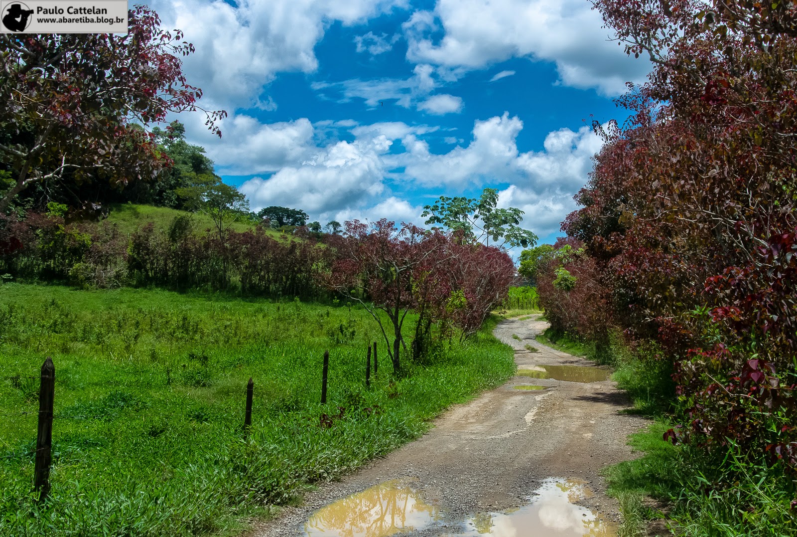 Gastando Sola Mundo Afora: Ipiabas - Barra do Piraí - RJ