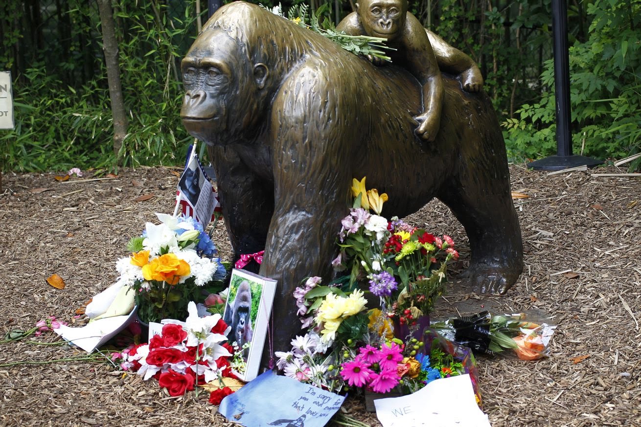 Internet Memes - Virtual Mirage