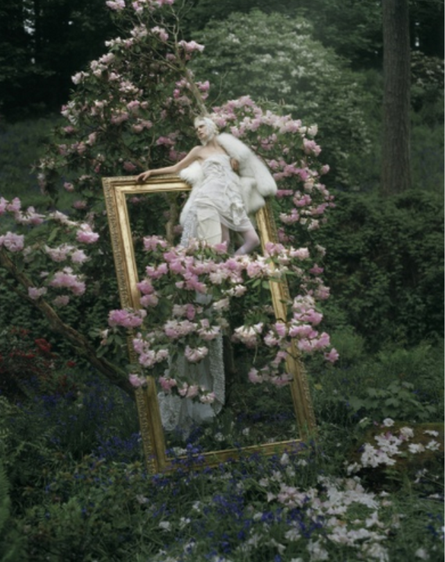 laostudio: TIM WALKER Photography