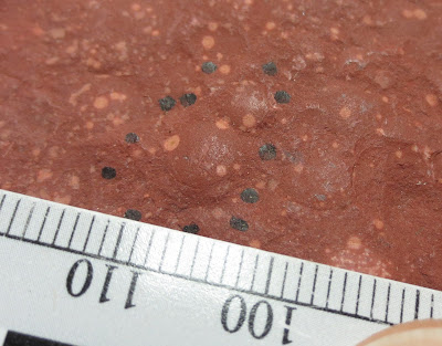 Equatorial Minnesota: Follow-up: Pipestone National Monument, Scenella ...