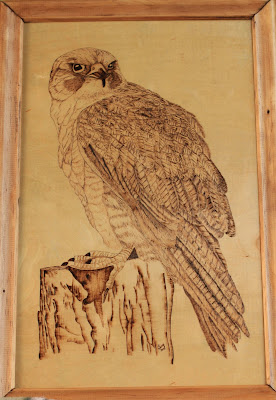 Terry's Niche: Peregrine Falcon - Free Patterns