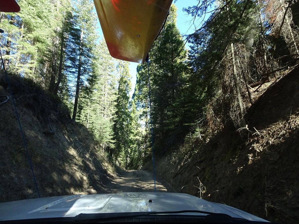 Traveling with Tucson : Kings Canyon - The Boole Tree and Chicago Stump