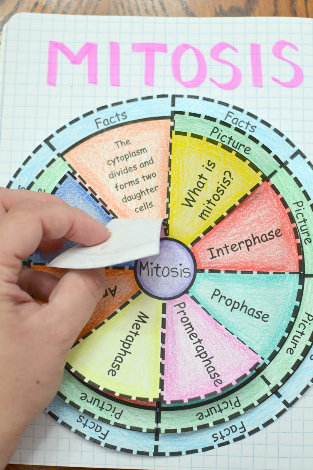 Math in Demand: Science Interactive Notebook - Cells