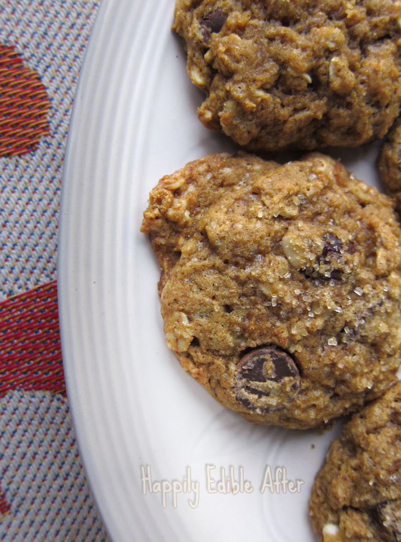 Pumpkin Jumble Cookies with Chocolate, Oatmeal, and Cranberries