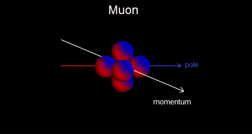 The Singular Primordial Preon Theory: The Singular Primordial Preon Theory
