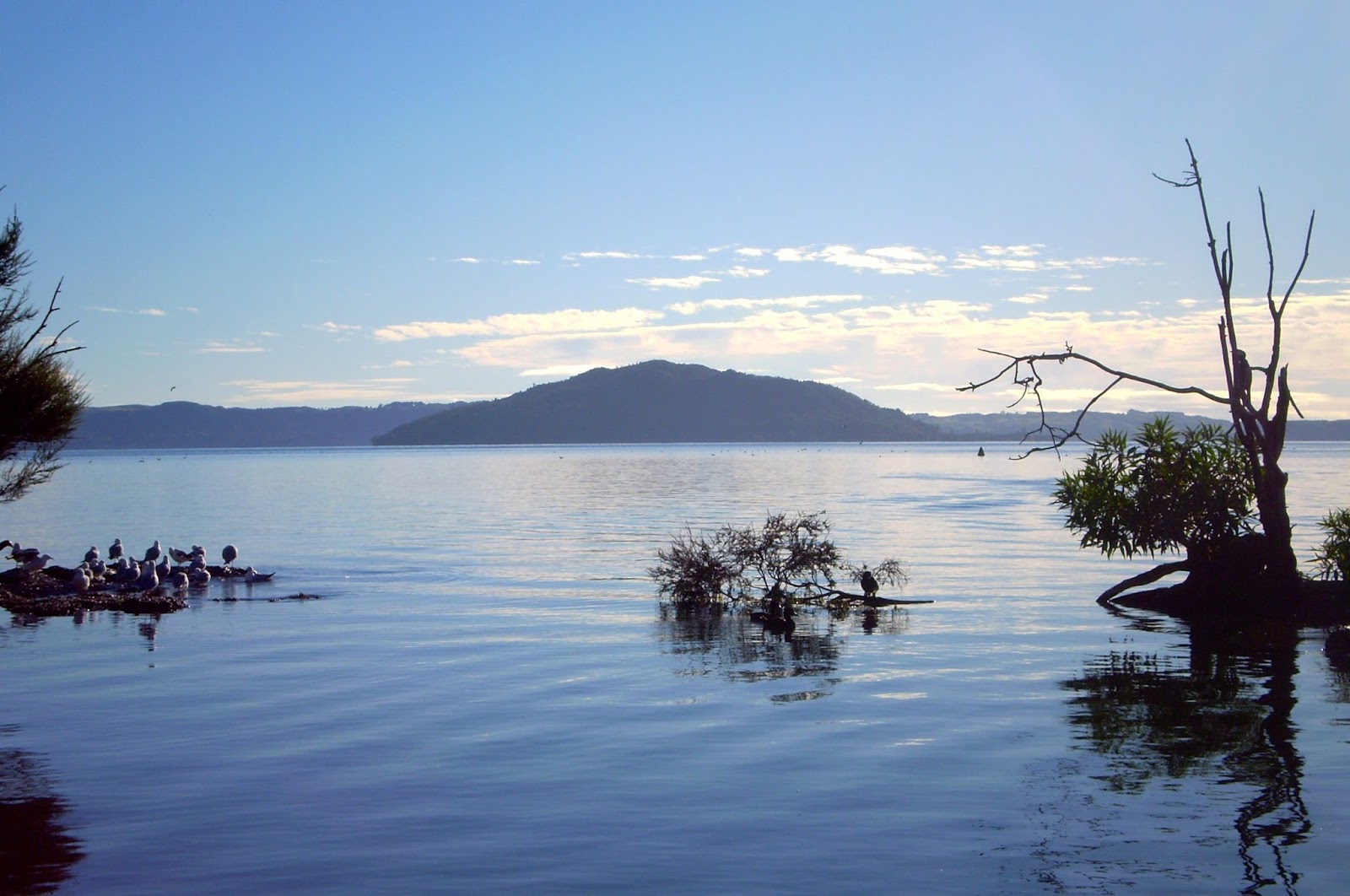 Rainbow's Rest: Mokoia Island