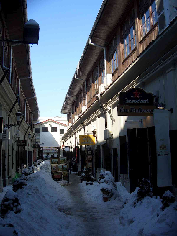 consemnări, poezii, eseuri: Scriitorul zilei: Radu Albala; poezii ...