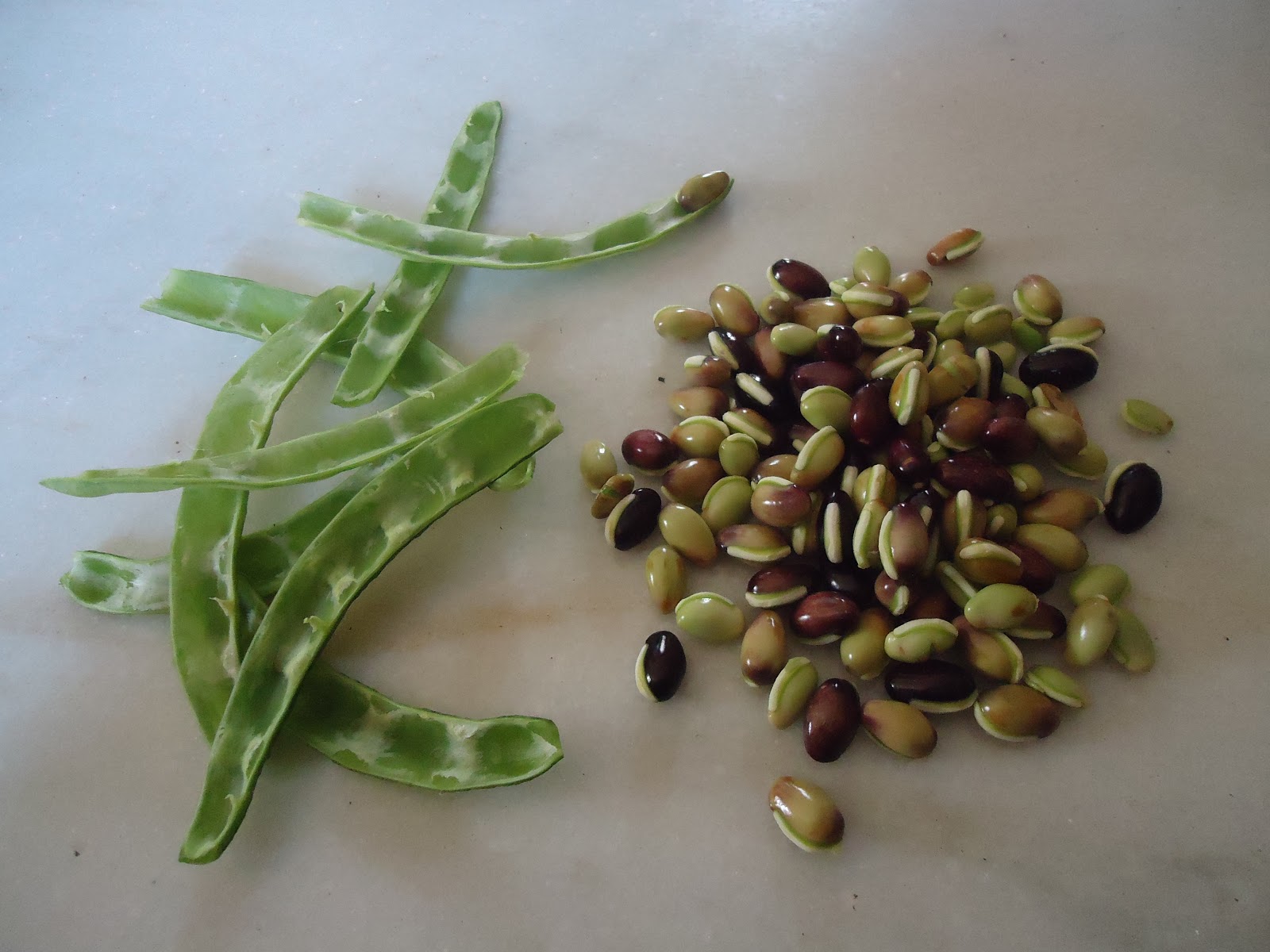 Kusuma's Abhiruchi: Pandiri Chukkudu Pachadi