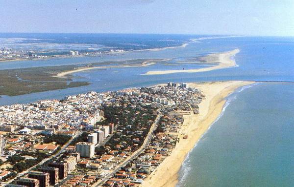 desde mi azotea: marzo 2011