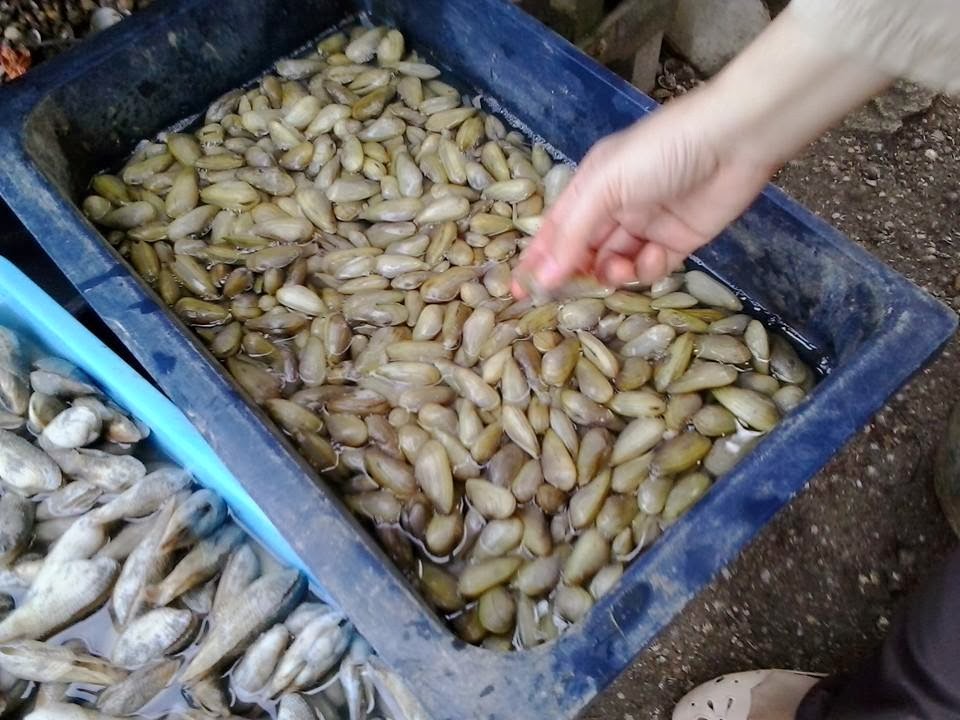 Blog Syanz-Aisyah: Menghirup Bayu Laut Sambil Membeli Hasil Laut di ...