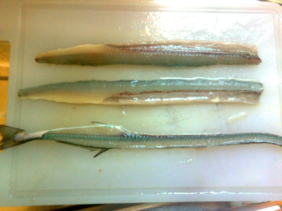 Pescare in Adriatico on line: pesci dell'Adriatico in cucina ...AGUGLIE ...