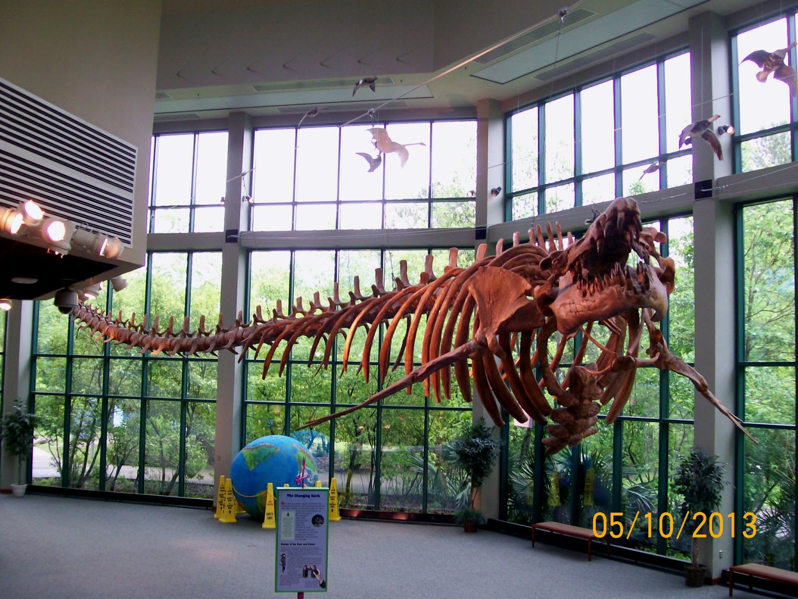 Rockhounding Around: Mississippi Museum of Natural Science