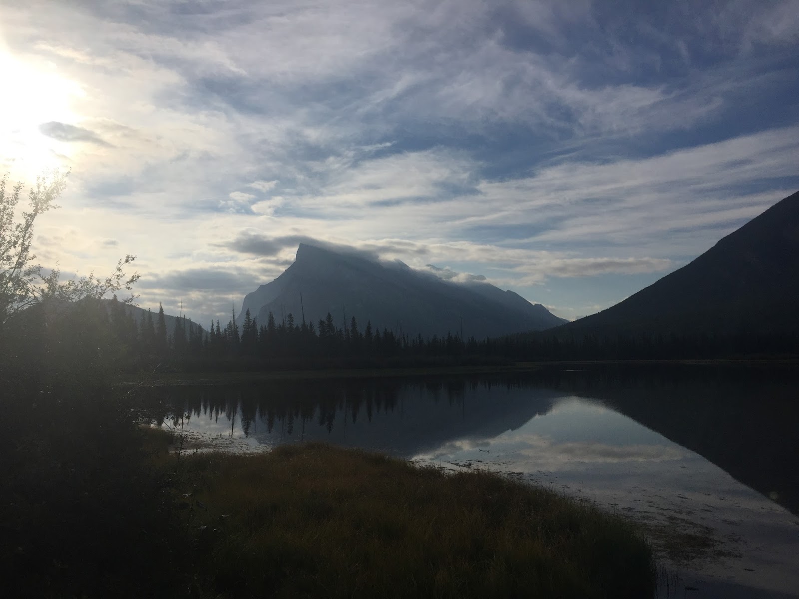 Living the Austinian Dream