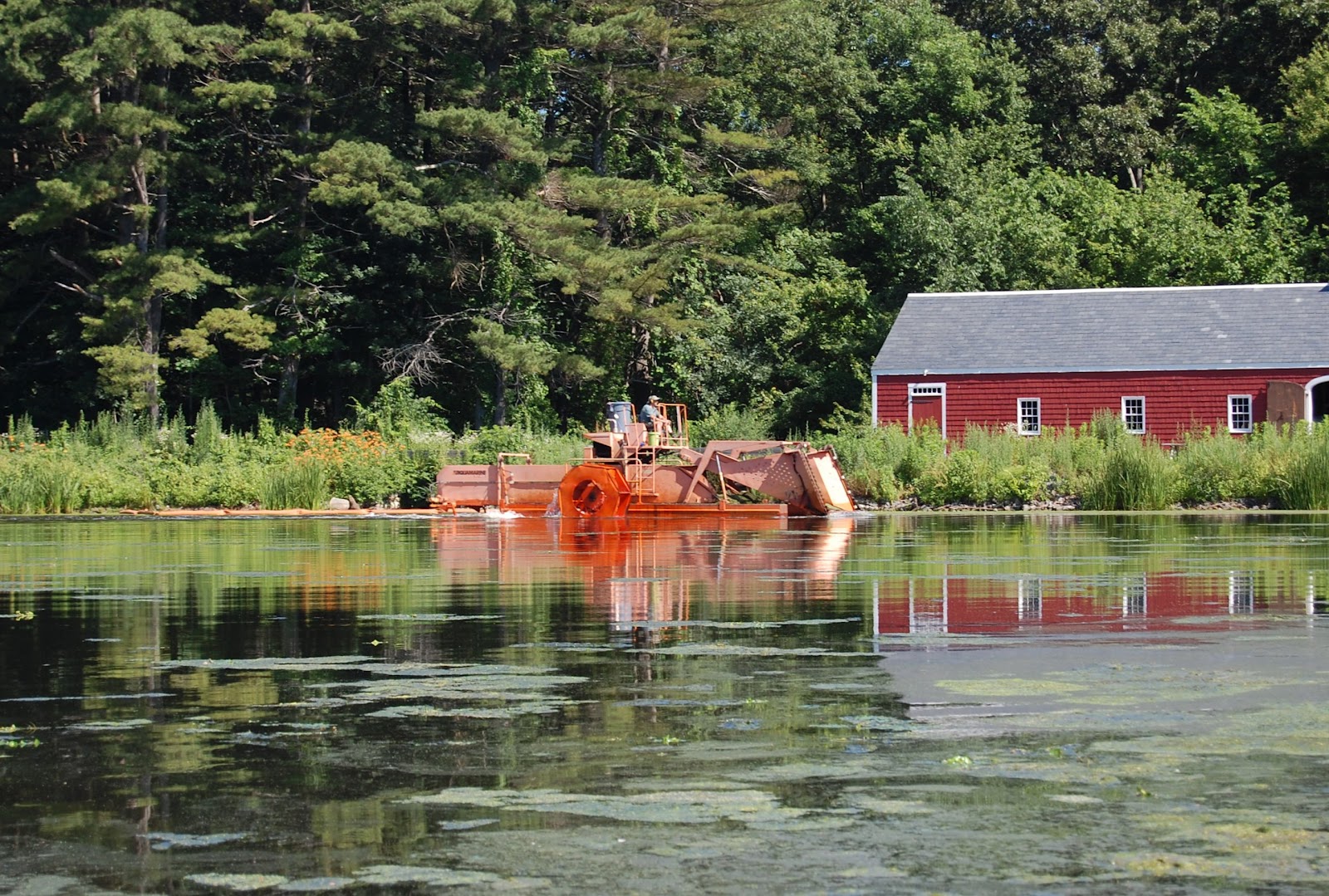 Sudbury Assabet & Concord Wild & Scenic Rivers: Volunteer Opportunities ...