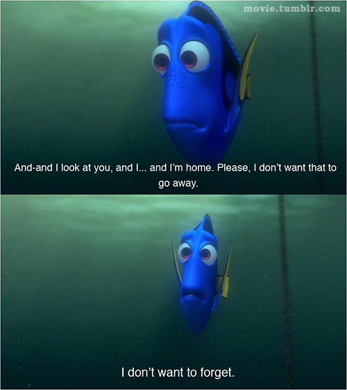 The stages of hero’s Journey by Joseph Campbell – Finding Nemo: The ...