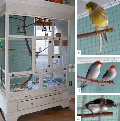 Amazing animal shelters