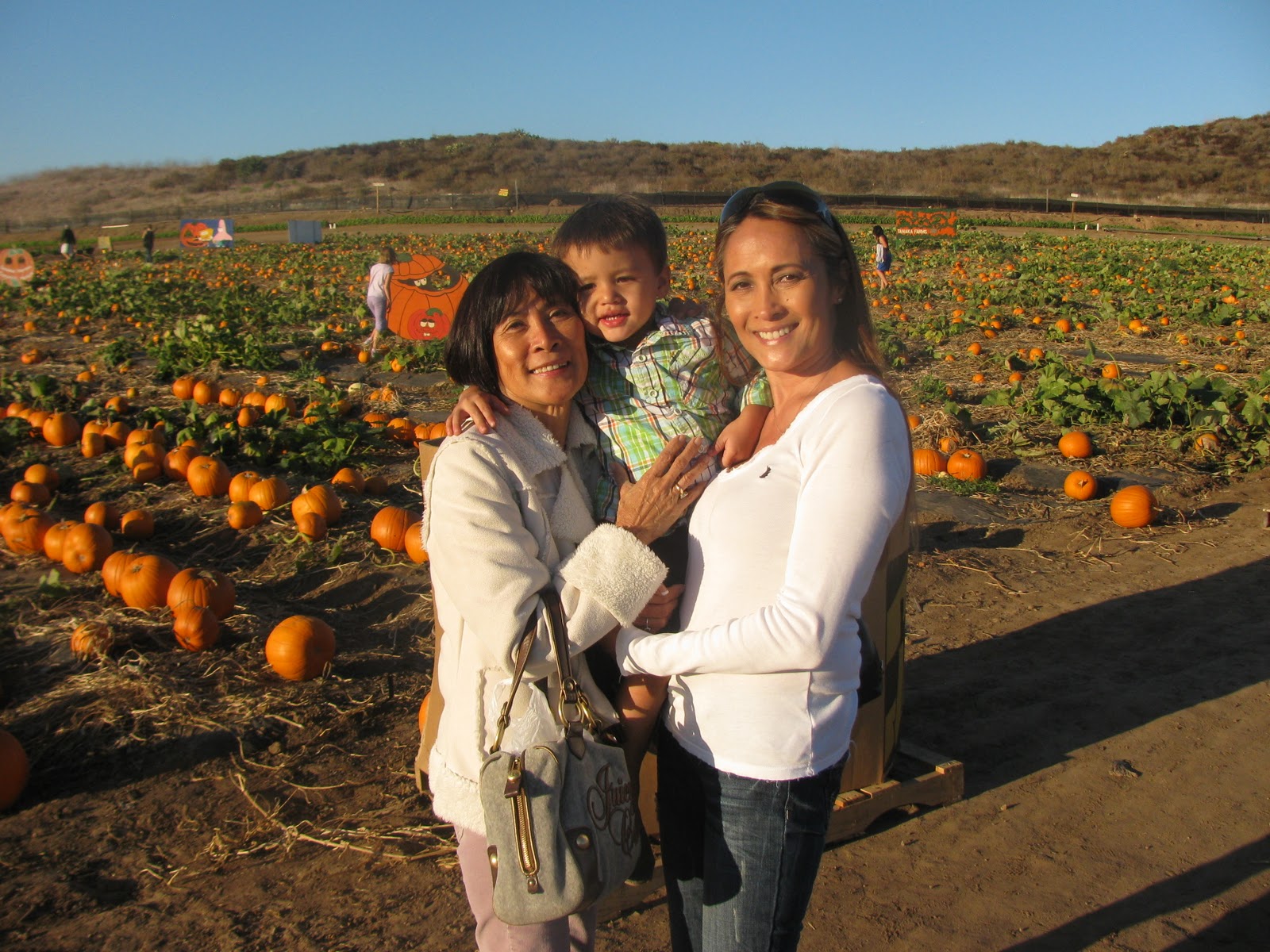 Life in the Jacoby House