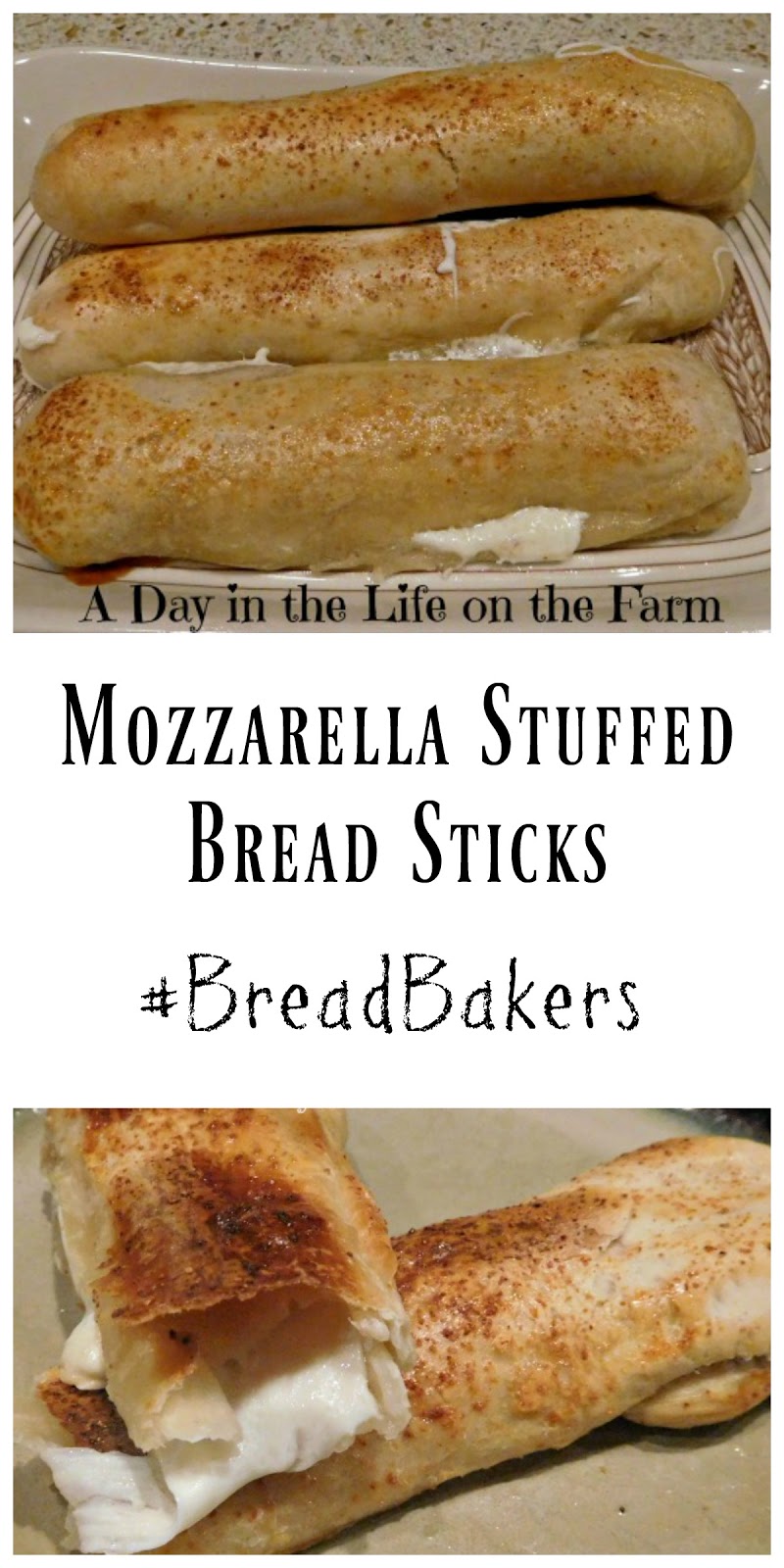 Mozzarella Bread Sticks