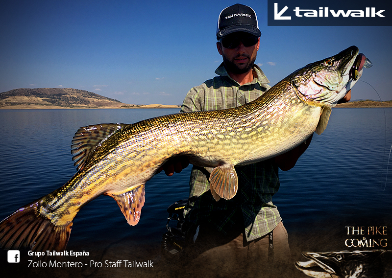 Consejos para pescar Lucios. Se acerca el invierno. | el pez rosa