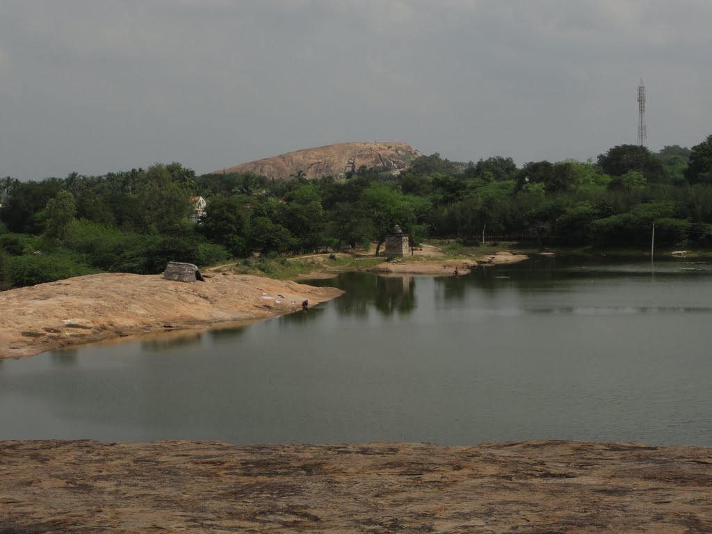 Tamilnadu Tourism: Narthamalai, Pudukottai