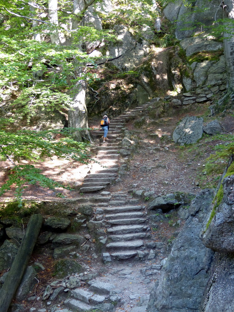Naturwunder ...: Wanderung zur Burgruine Kynast (nördl ...