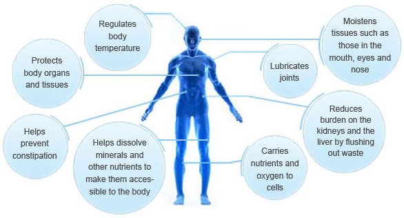 The Importance of Water in Life for Survival | Education and ...