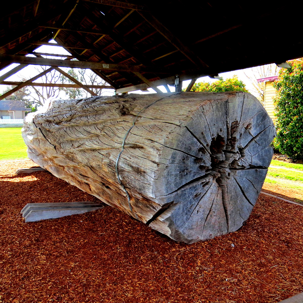 Regular Updates on our News: HARDWOOD LOG - CAMPBELL TOWN - TAS