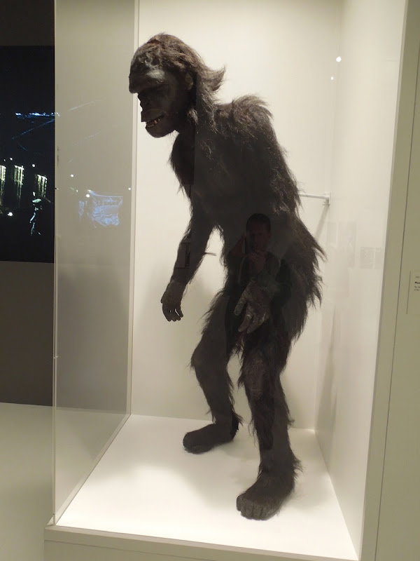 Hollywood Movie Costumes and Props: Moonwatcher mask and costume from ...