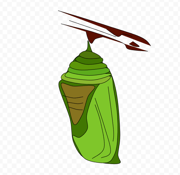 I LOVE TEACHING IDEAS