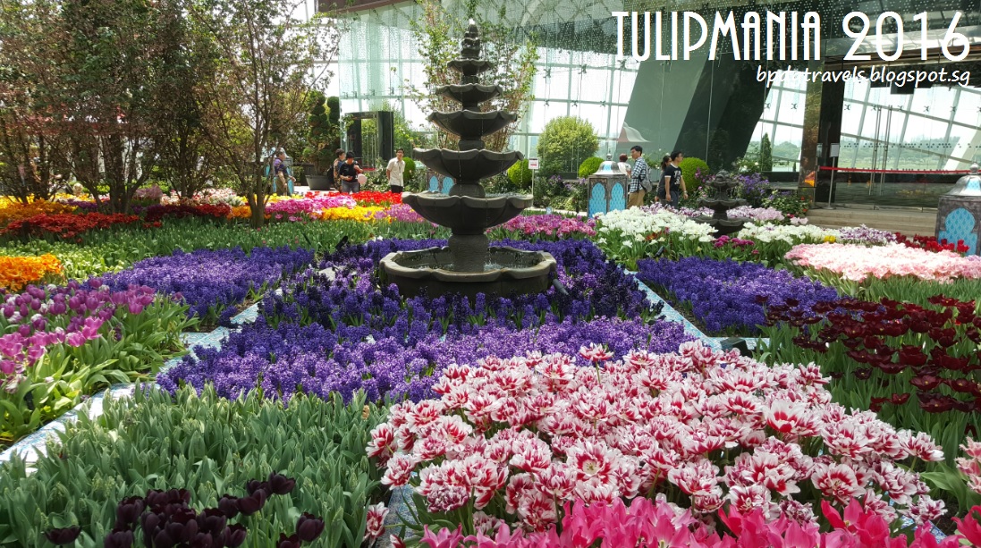 Tulipmania Rediscovered : Ottoman Empire (The Origin of Tulips ...