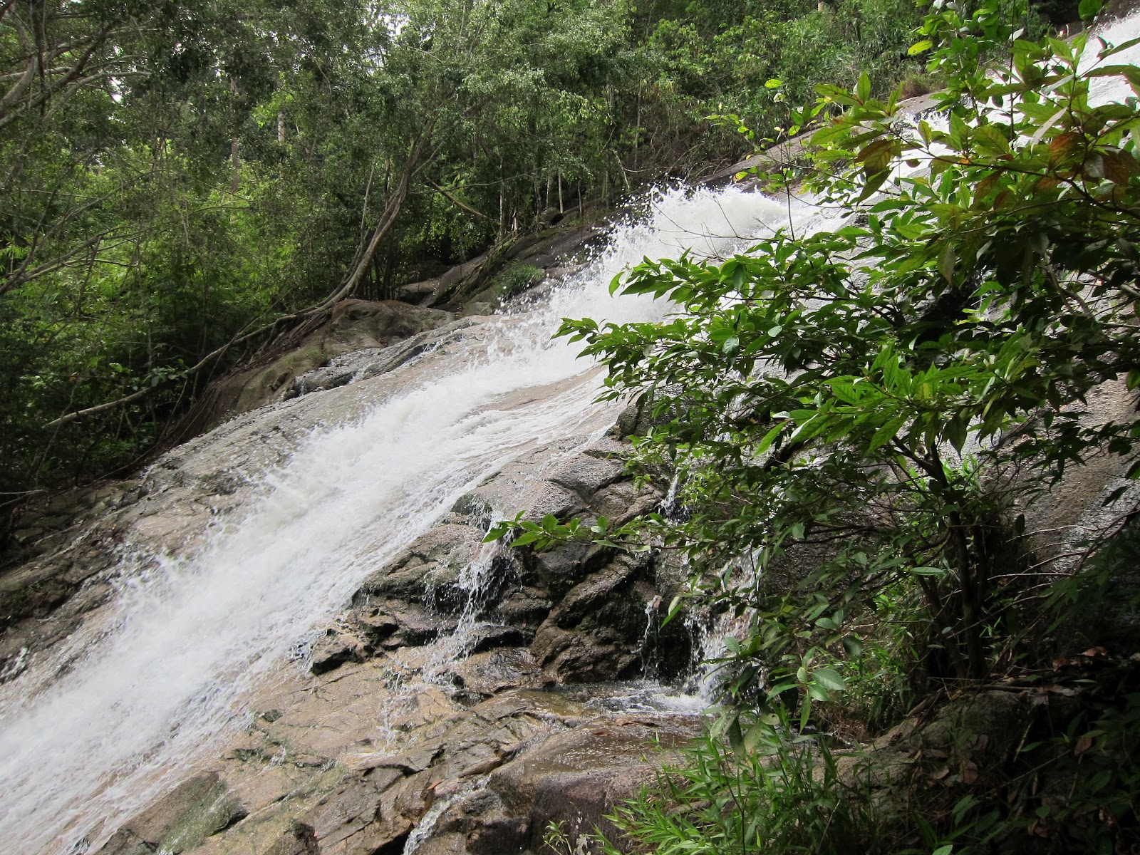 Through the Eyes of a City Mouse: Johor My Adoptive State - The Puteri ...