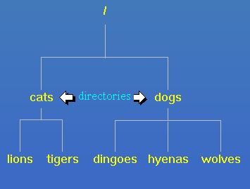 Struktur Direktori Pada Linux - Belajar Linux Pemula Desktop dan Server
