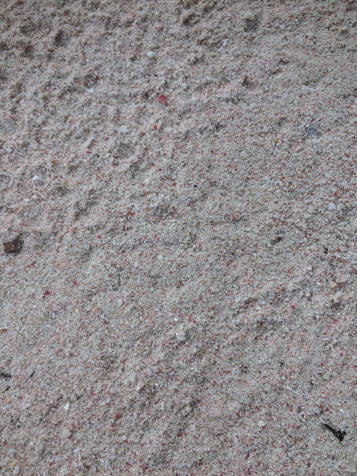 The Pink Sand Beach (Sta. Cruz Island) @ Zamboanga City; Philippines ...