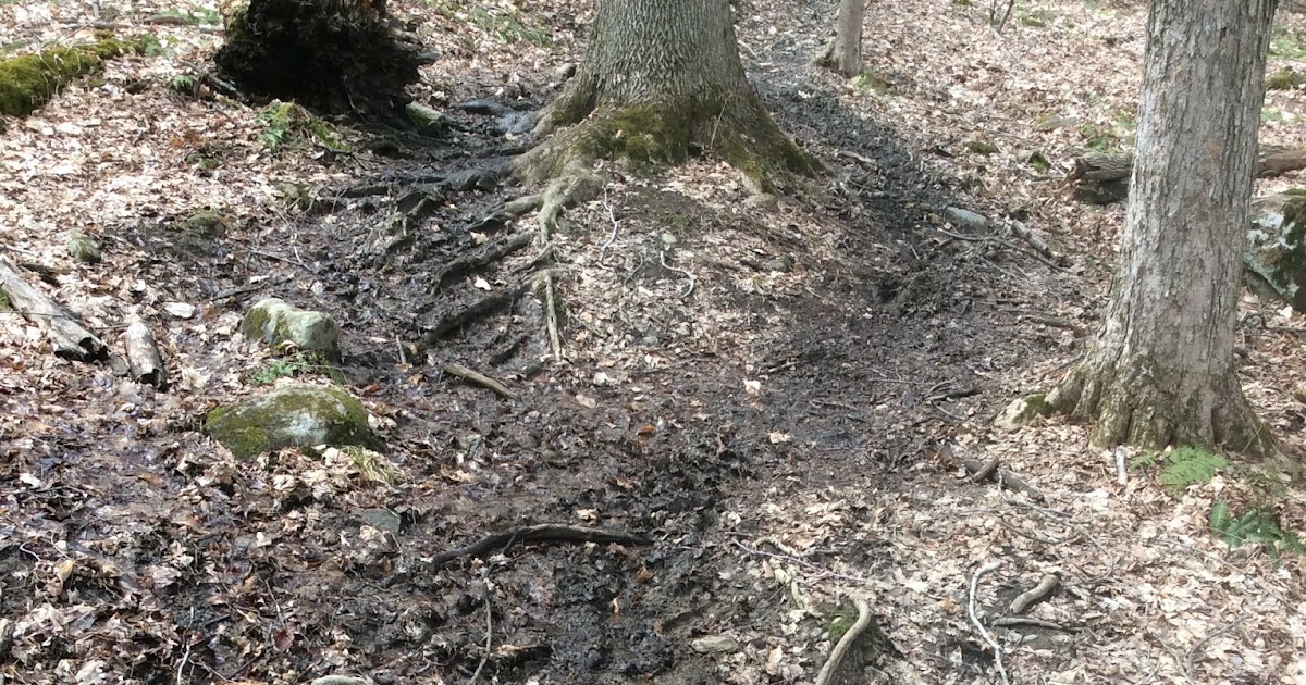 Mud Season Hiking 101