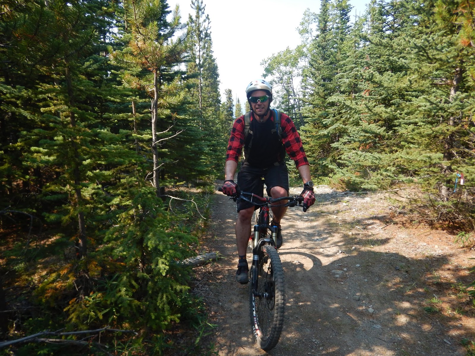 Jenny's Mountain Adventures: Mountain Hero Trail, Carcross Yukon