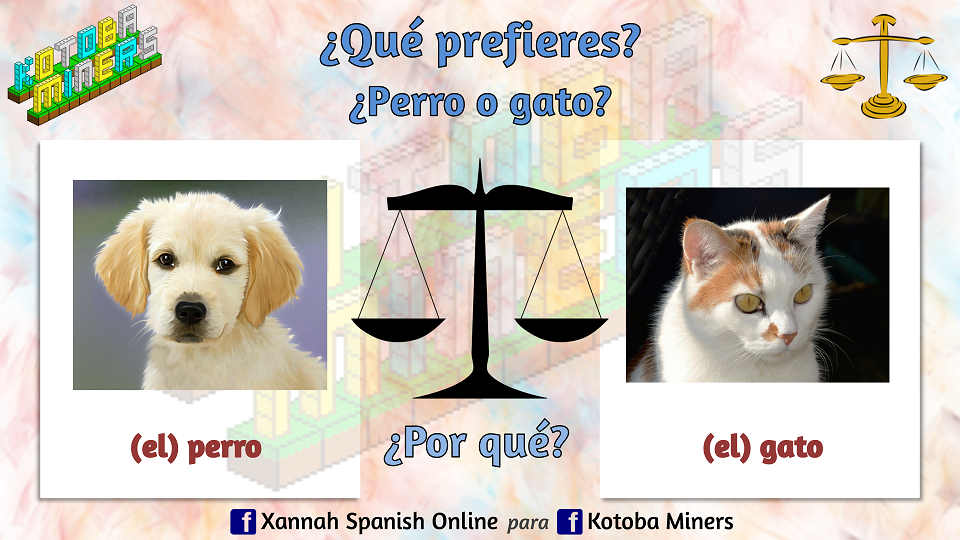 Xannah Spanish Online: Choose!: ¿perro o gato?