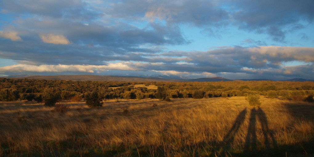 Pavel Vrána: Úvaha o lásce
