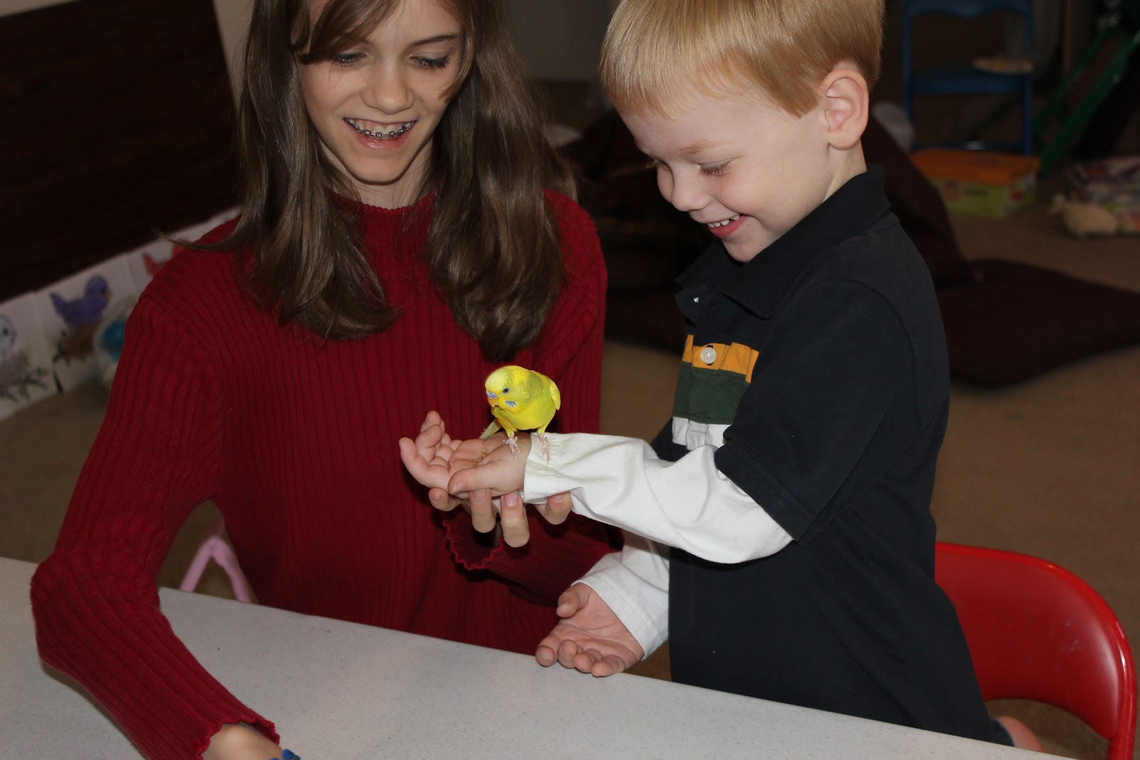 Lauren's Little Learners